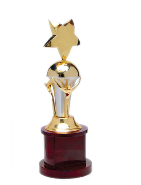 Star Team Award – Tej Brothers